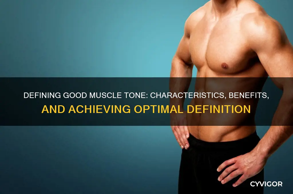 Defining Good Muscle Tone: Characteristics, Benefits, And Achieving ...