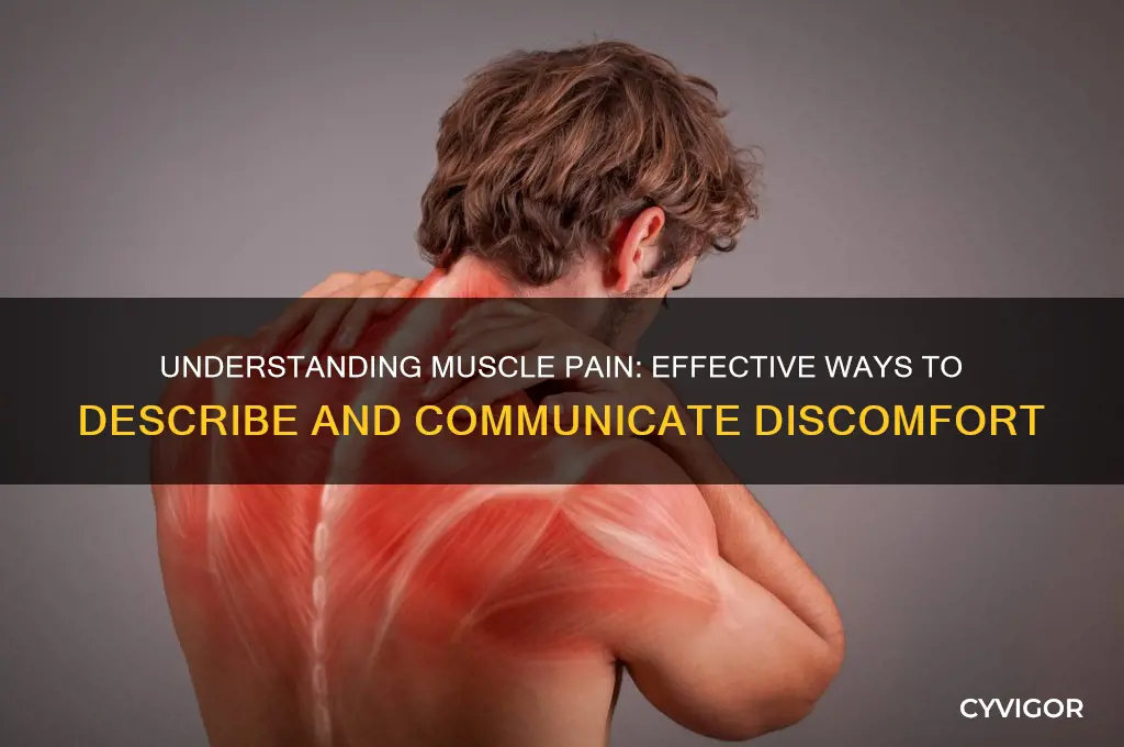 Understanding Muscle Pain: Effective Ways To Describe And Communicate ...