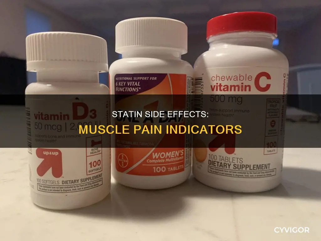 Statin Side Effects: Muscle Pain Indicators | CyVigor