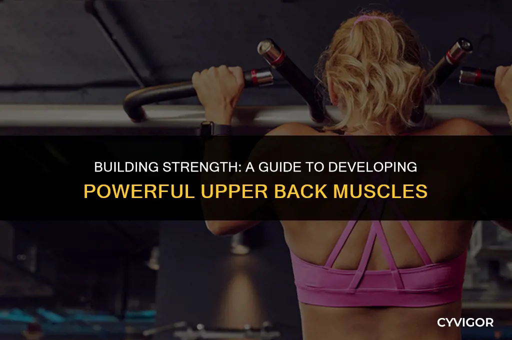Building Strength: A Guide To Developing Powerful Upper Back Muscles ...