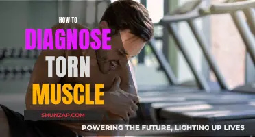Understanding Forearm Flexion: The Muscle Behind The Action | CyVigor
