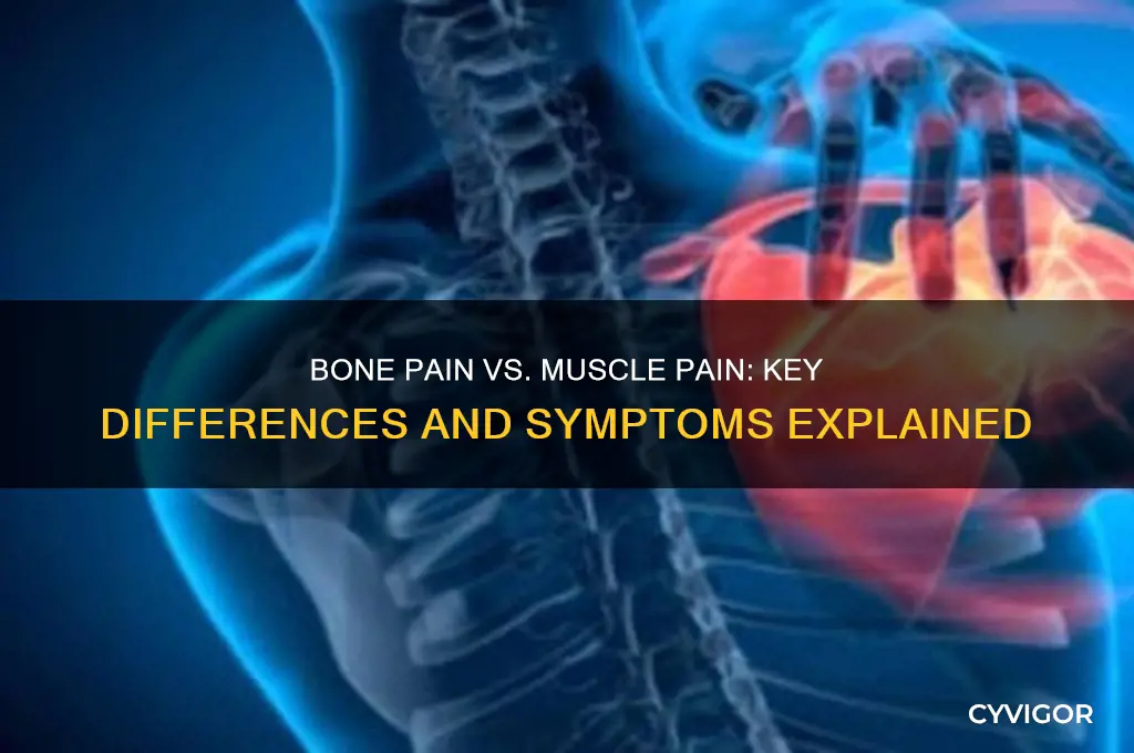 Bone Pain Vs. Muscle Pain: Key Differences And Symptoms Explained | CyVigor