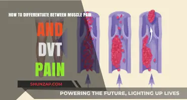 Muscle Vs. Joint Pain: Key Differences And How To Identify Them | CyVigor