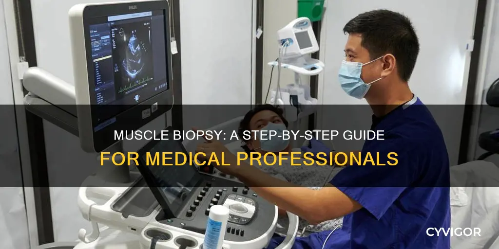 Muscle Biopsy: A Step-By-Step Guide For Medical Professionals | CyVigor