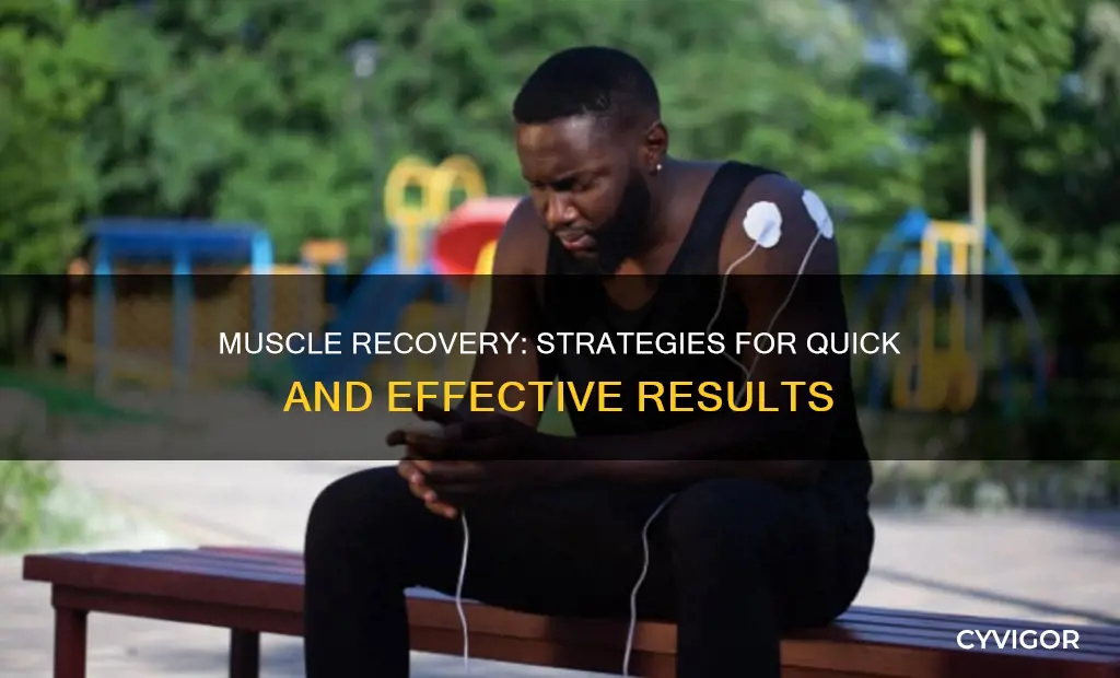Muscle Recovery: Strategies For Quick And Effective Results | CyVigor
