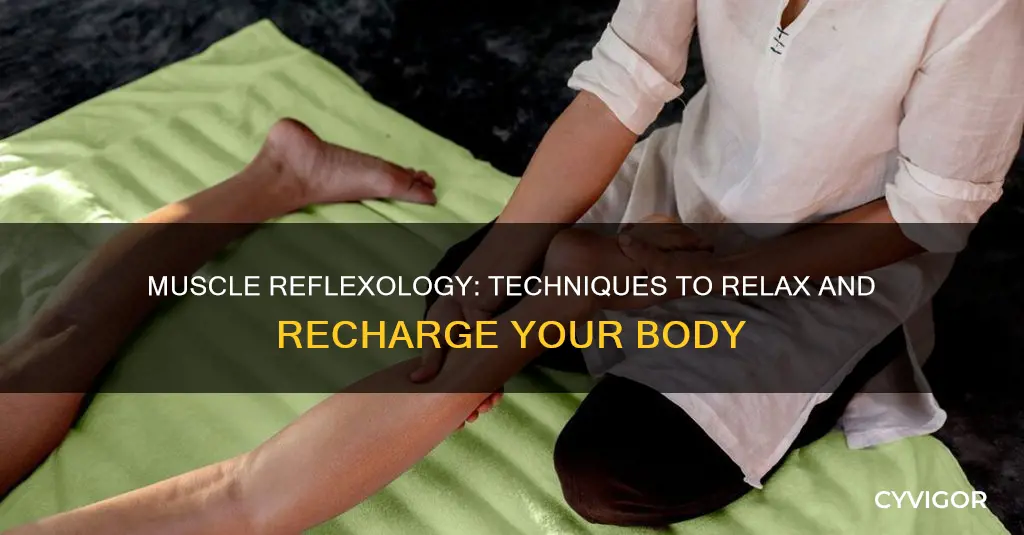 Muscle Reflexology: Techniques To Relax And Recharge Your Body | CyVigor
