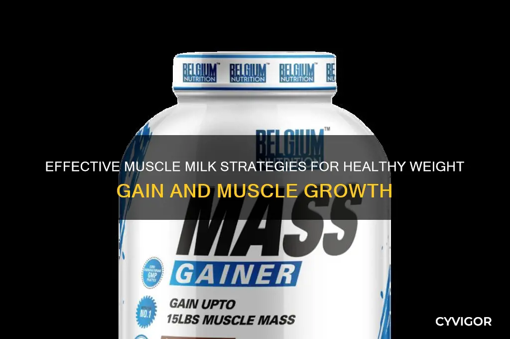 Effective Muscle Milk Strategies For Healthy Weight Gain And Muscle ...