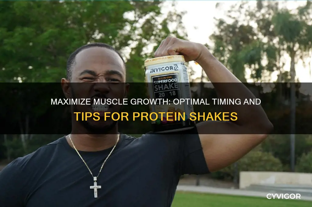Maximize Muscle Growth: Optimal Timing And Tips For Protein Shakes ...