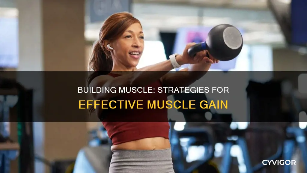 Building Muscle: Strategies For Effective Muscle Gain | CyVigor