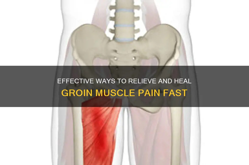 Effective Ways To Relieve And Heal Groin Muscle Pain Fast | CyVigor