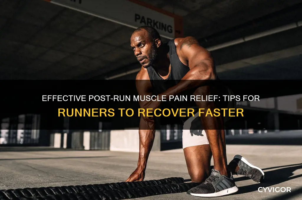 Effective Post-Run Muscle Pain Relief: Tips For Runners To Recover ...