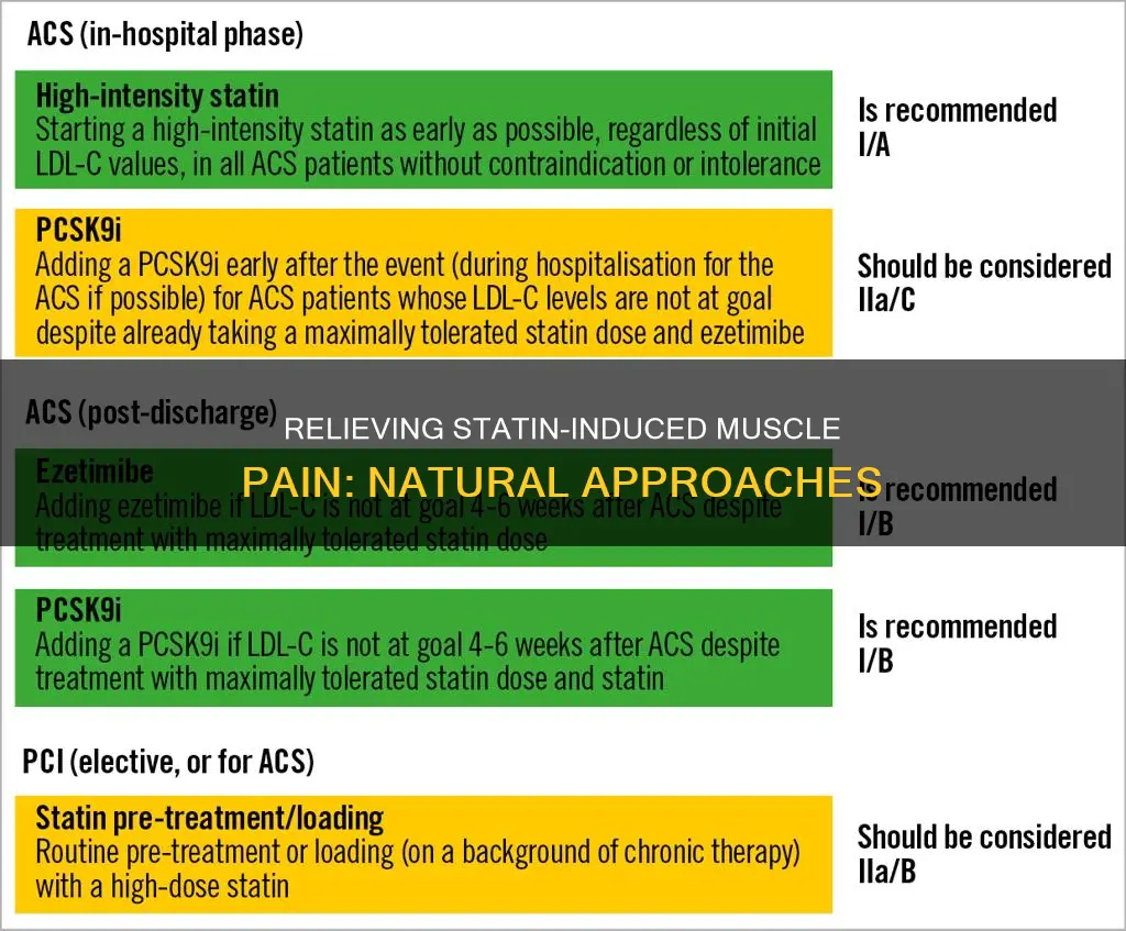 Relieving Statin-Induced Muscle Pain: Natural Approaches | CyVigor