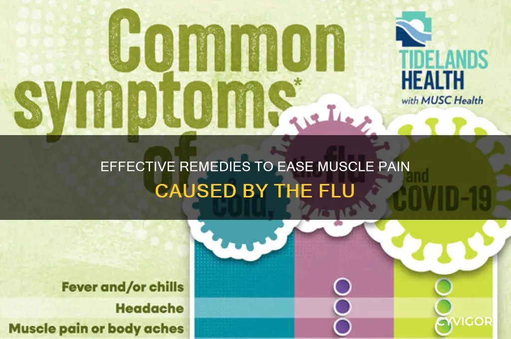Effective Remedies To Ease Muscle Pain Caused By The Flu | CyVigor
