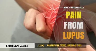 Effective Strategies To Relieve Lactic Acid Muscle Pain Quickly | CyVigor