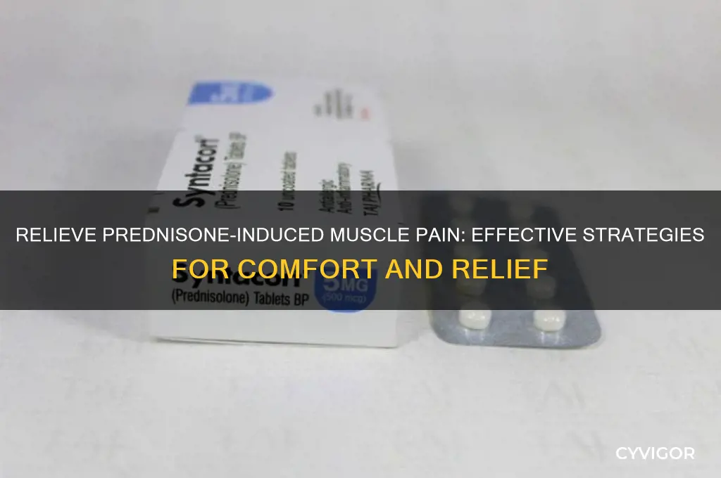 Relieve Prednisone-Induced Muscle Pain: Effective Strategies For ...