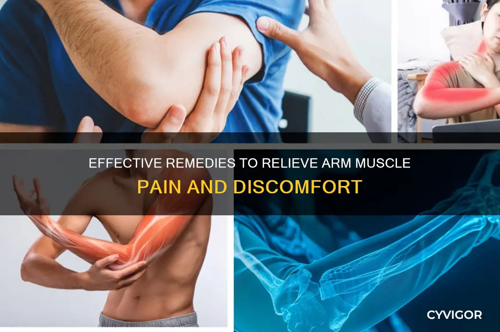 Effective Remedies To Relieve Arm Muscle Pain And Discomfort | CyVigor