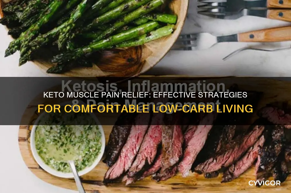 Keto Muscle Pain Relief: Effective Strategies For Comfortable Low-Carb ...
