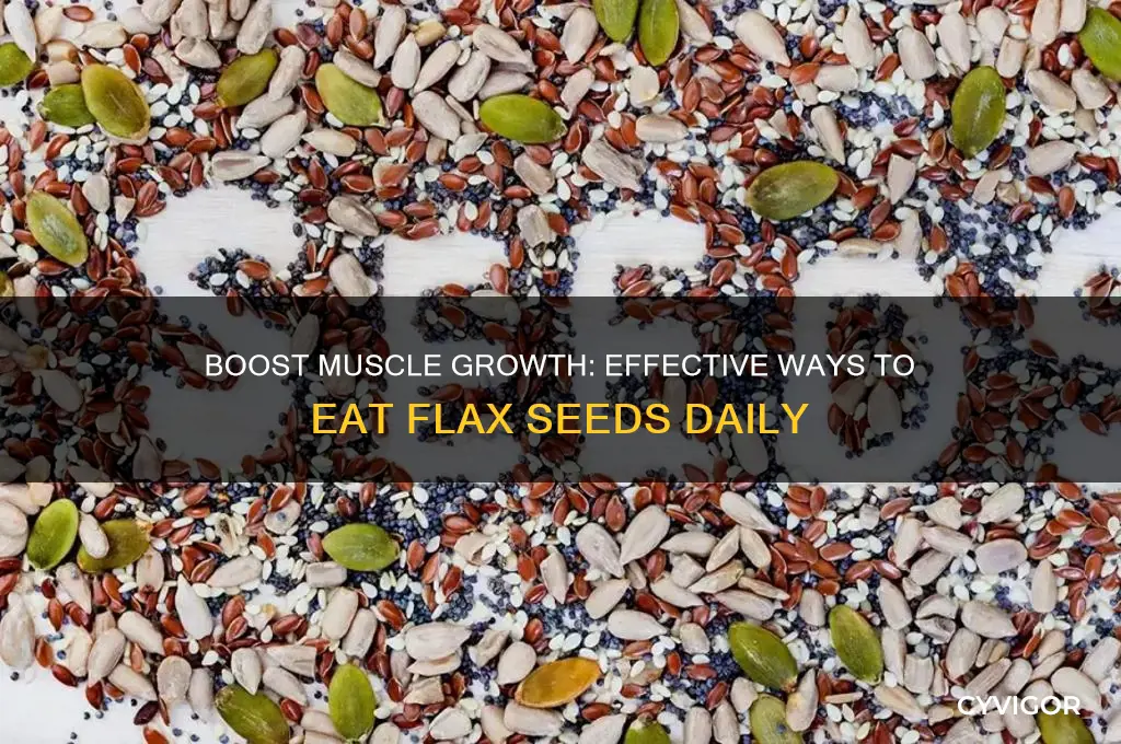 Boost Muscle Growth: Effective Ways To Eat Flax Seeds Daily | CyVigor