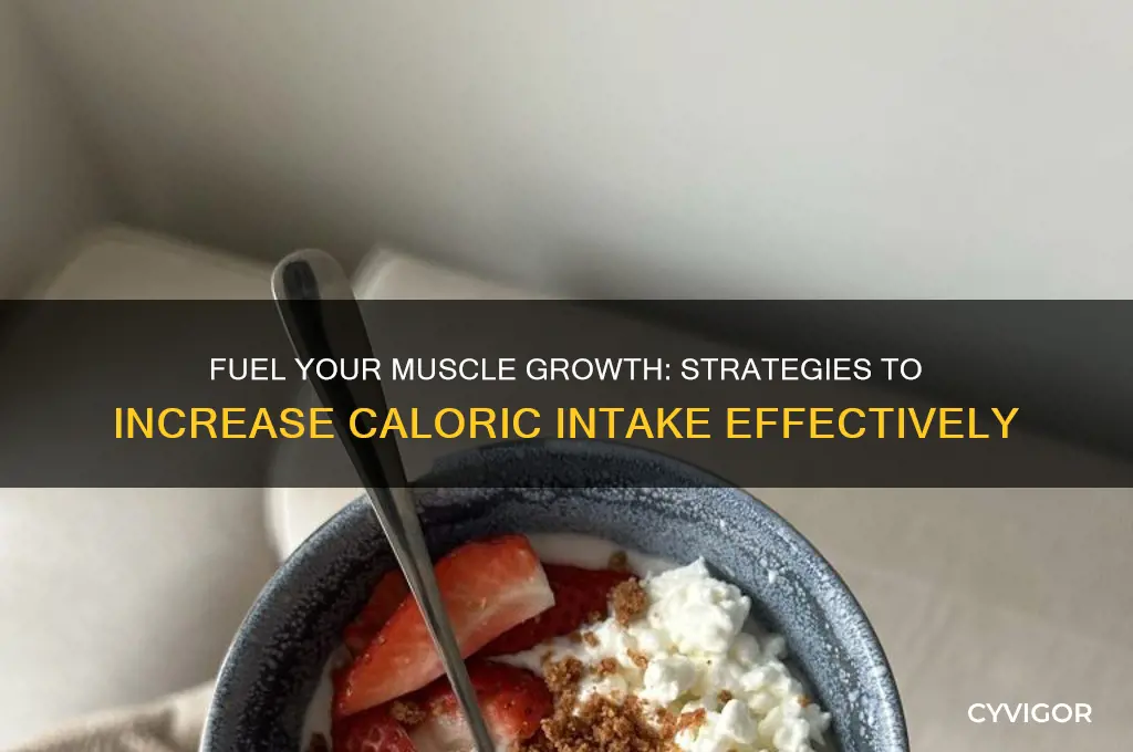 Fuel Your Muscle Growth: Strategies To Increase Caloric Intake ...