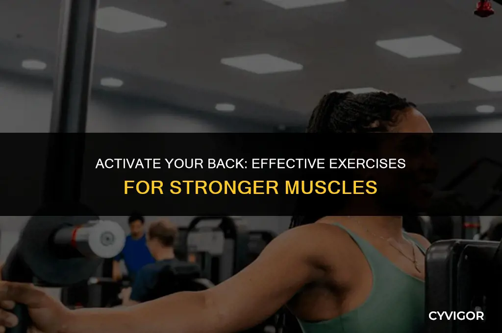 Activate Your Back: Effective Exercises For Stronger Muscles | CyVigor