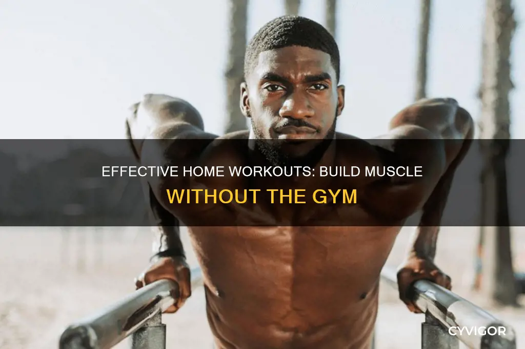 Effective Home Workouts: Build Muscle Without The Gym | CyVigor