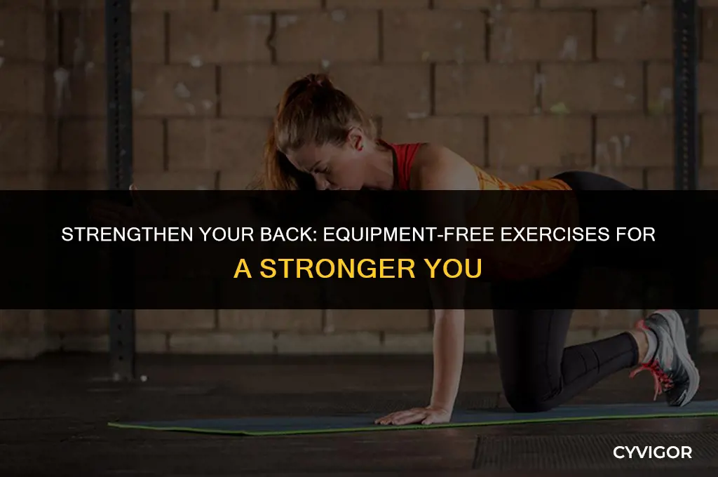 Strengthen Your Back: Equipment-Free Exercises For A Stronger You | CyVigor