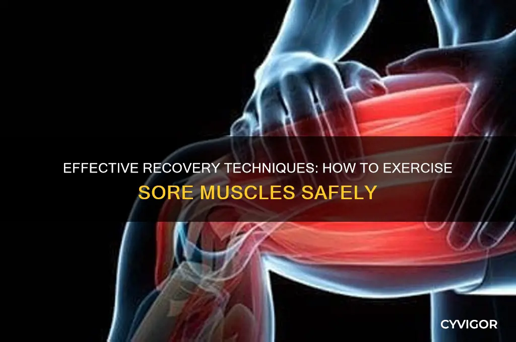 Effective Recovery Techniques: How To Exercise Sore Muscles Safely ...