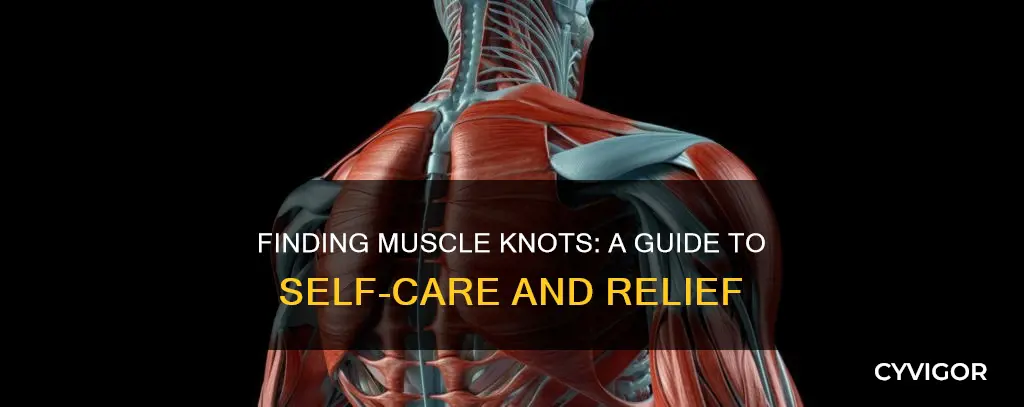 Finding Muscle Knots: A Guide To Self-Care And Relief | CyVigor