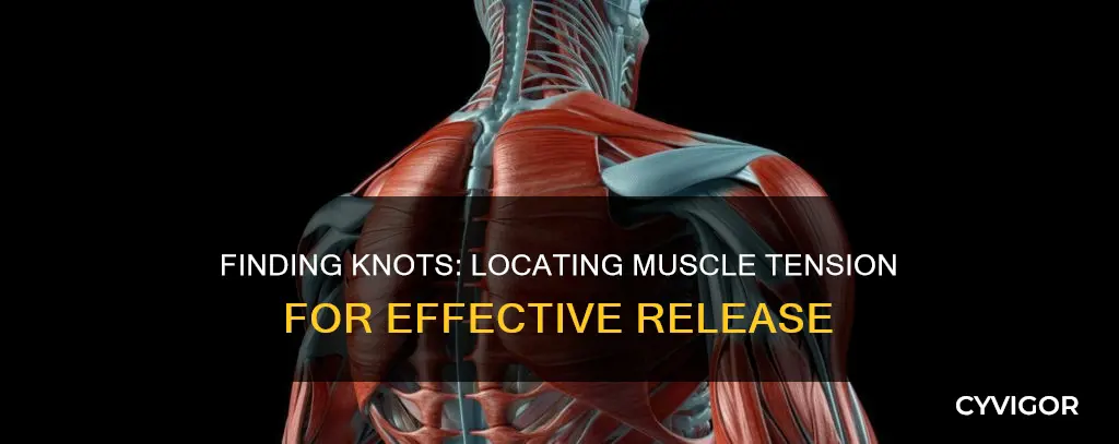 Finding Knots: Locating Muscle Tension For Effective Release | CyVigor