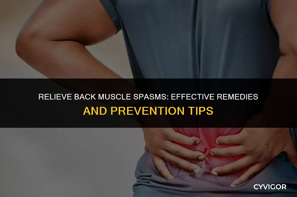 Relieve Back Muscle Spasms: Effective Remedies And Prevention Tips ...