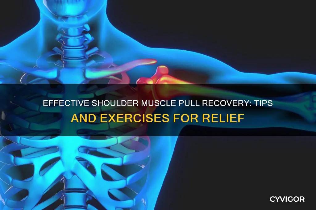 Effective Shoulder Muscle Pull Recovery: Tips And Exercises For Relief ...
