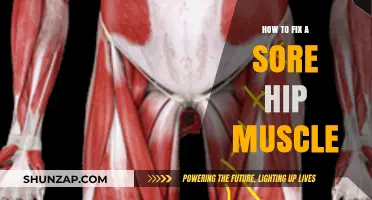 Muscle Hematoma: Understanding The Cause And Treatment | CyVigor