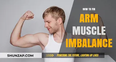 Understanding The Muscles Under Your Arm: Anatomy And Function ...