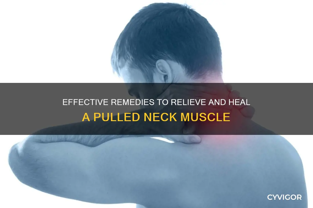 Effective Remedies To Relieve And Heal A Pulled Neck Muscle | CyVigor
