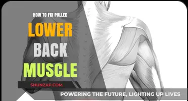 Effective Remedies To Heal And Prevent Pulled Lower Back Muscle Pain ...