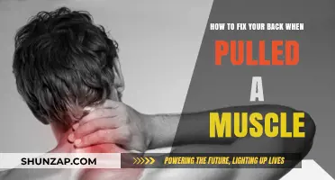 Effective Remedies To Heal A Pulled Back Muscle Caused By Coughing ...