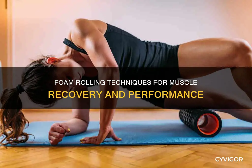 Foam Rolling Techniques For Muscle Recovery And Performance | CyVigor