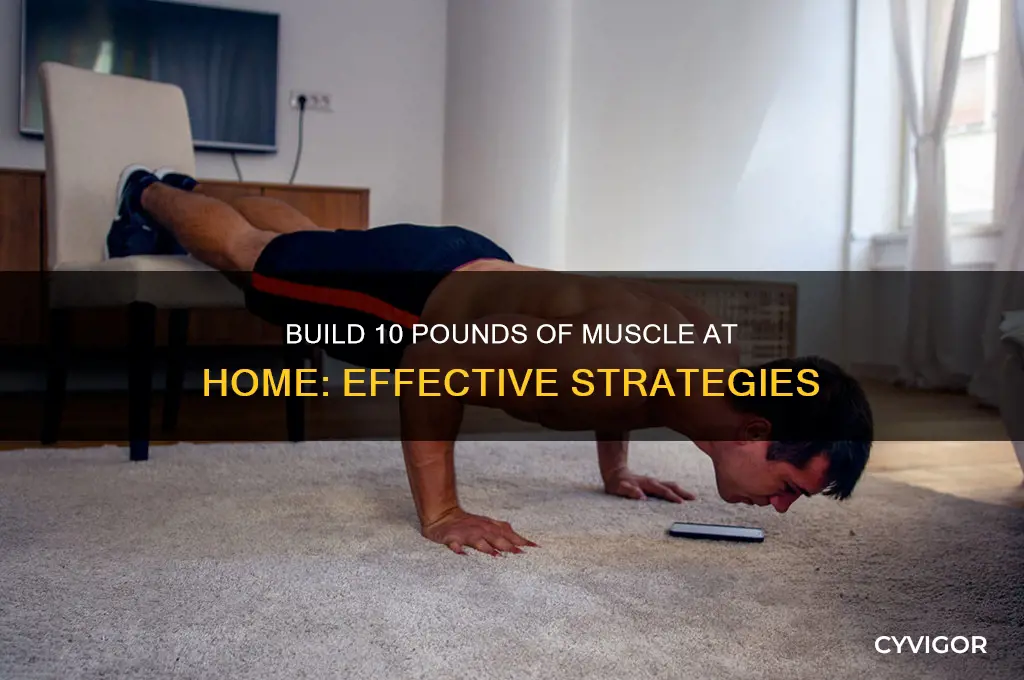 Build 10 Pounds Of Muscle At Home: Effective Strategies | CyVigor