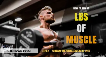 Effective Muscle Building: Timeframe To Gain 10 Pounds Of Muscle | CyVigor