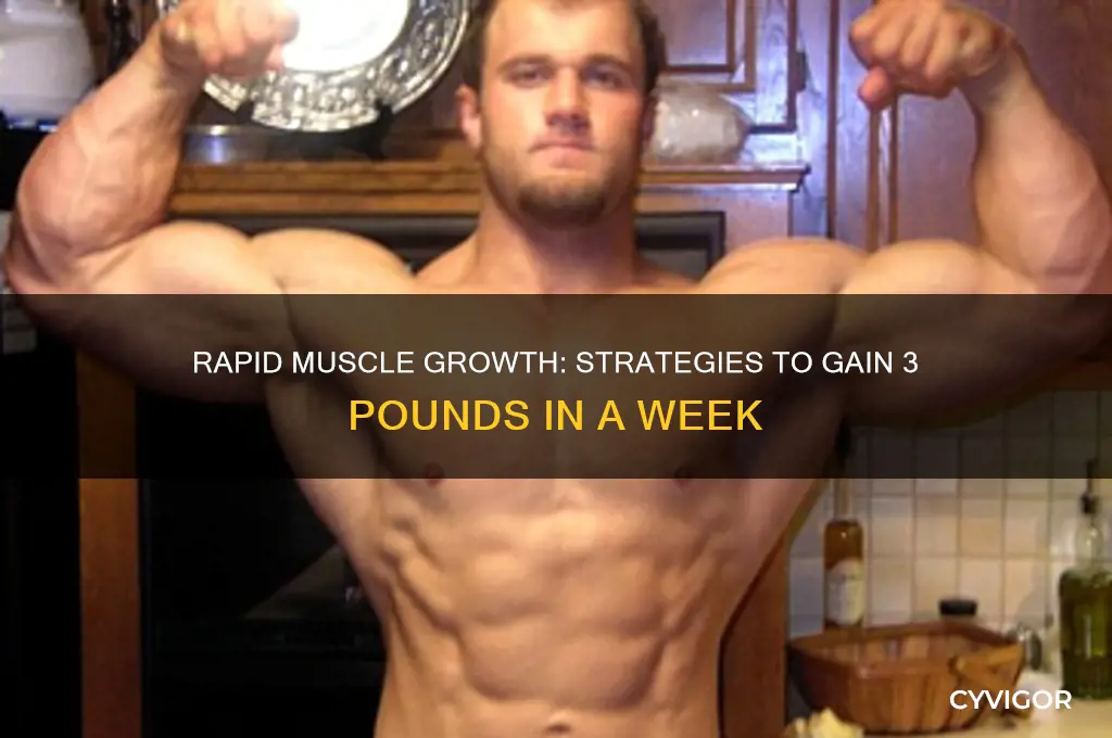 Rapid Muscle Growth: Strategies To Gain 3 Pounds In A Week | CyVigor