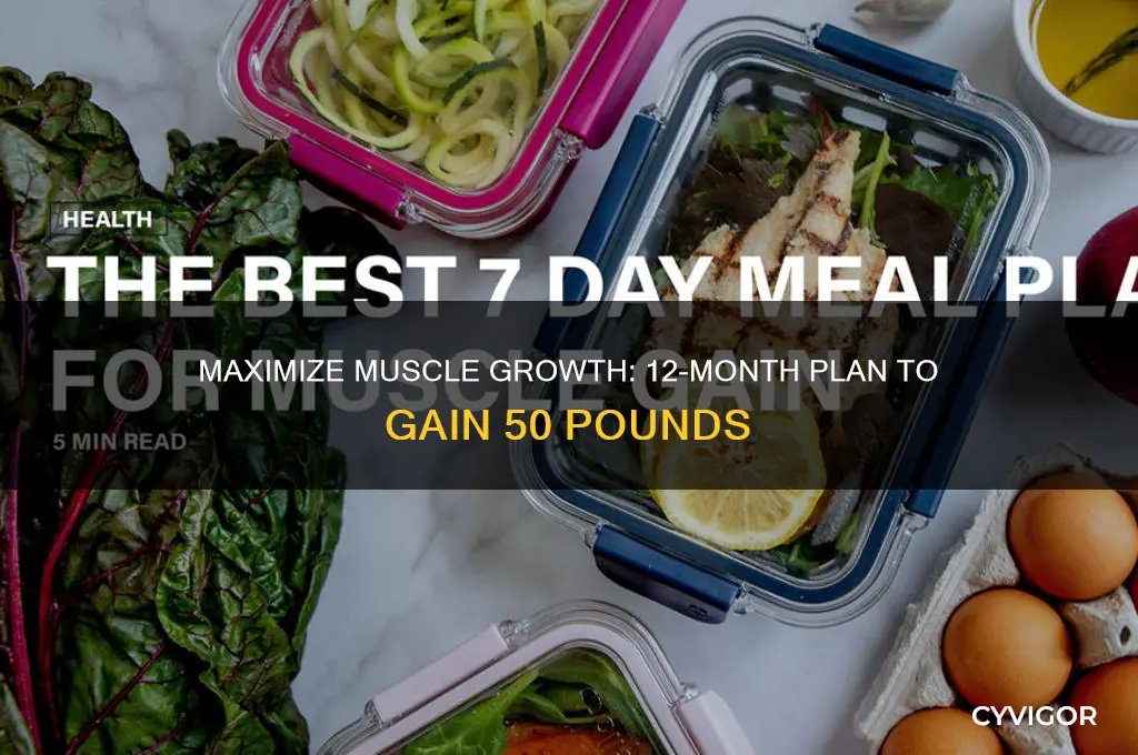 Maximize Muscle Growth: 12-Month Plan To Gain 50 Pounds | CyVigor