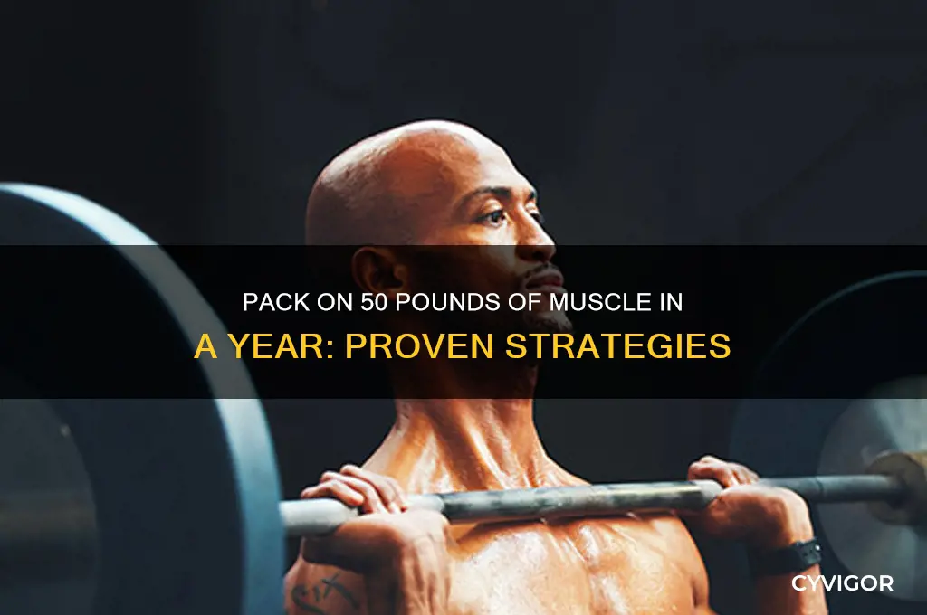 Pack On 50 Pounds Of Muscle In A Year: Proven Strategies | CyVigor