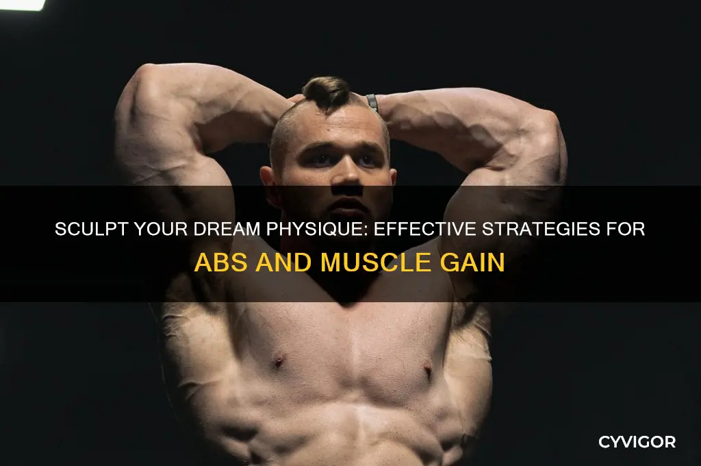 Sculpt Your Dream Physique: Effective Strategies For Abs And Muscle ...