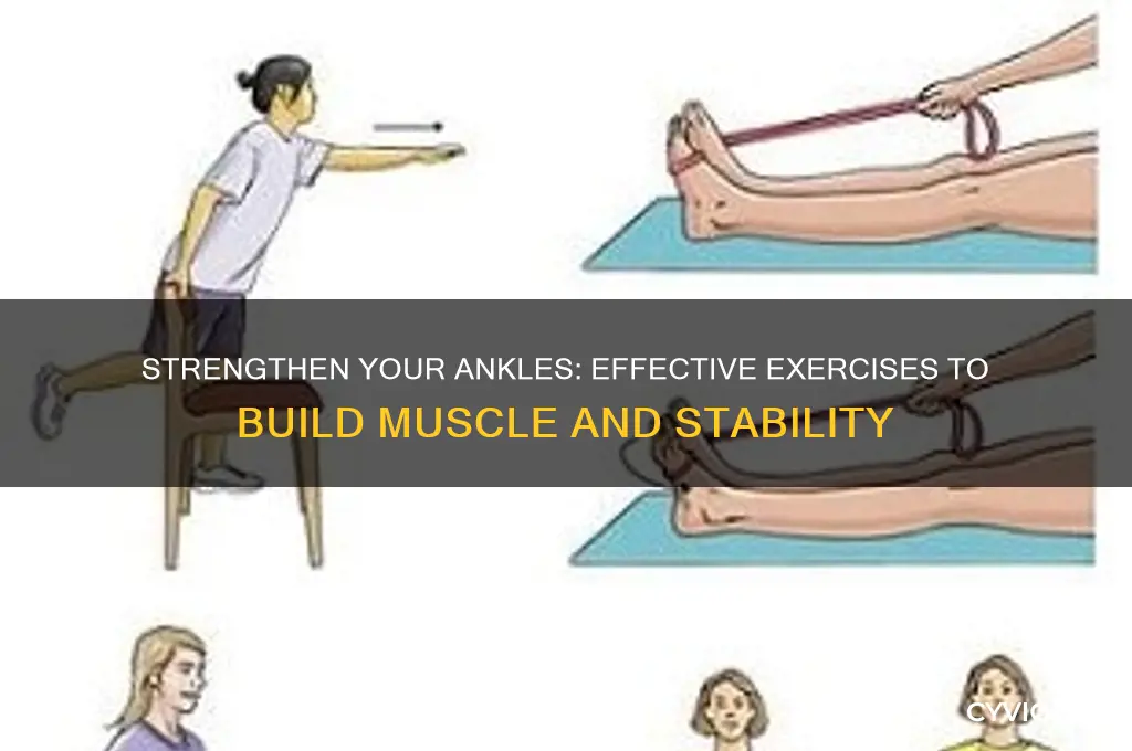 Strengthen Your Ankles: Effective Exercises To Build Muscle And ...