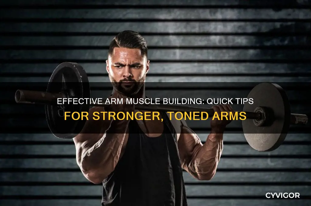 Effective Arm Muscle Building: Quick Tips For Stronger, Toned Arms ...