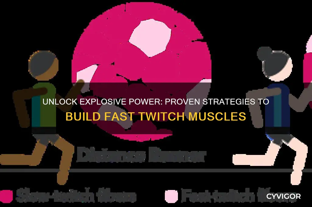 Unlock Explosive Power: Proven Strategies To Build Fast Twitch Muscles ...