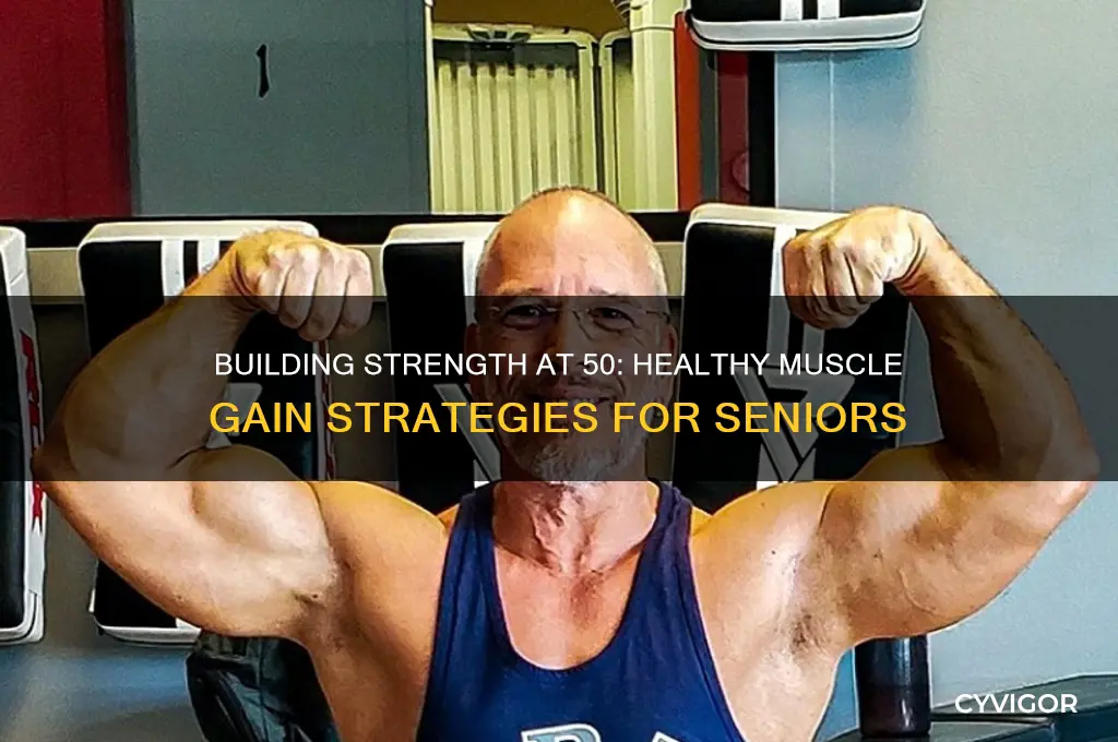 Building Strength At 50: Healthy Muscle Gain Strategies For Seniors ...