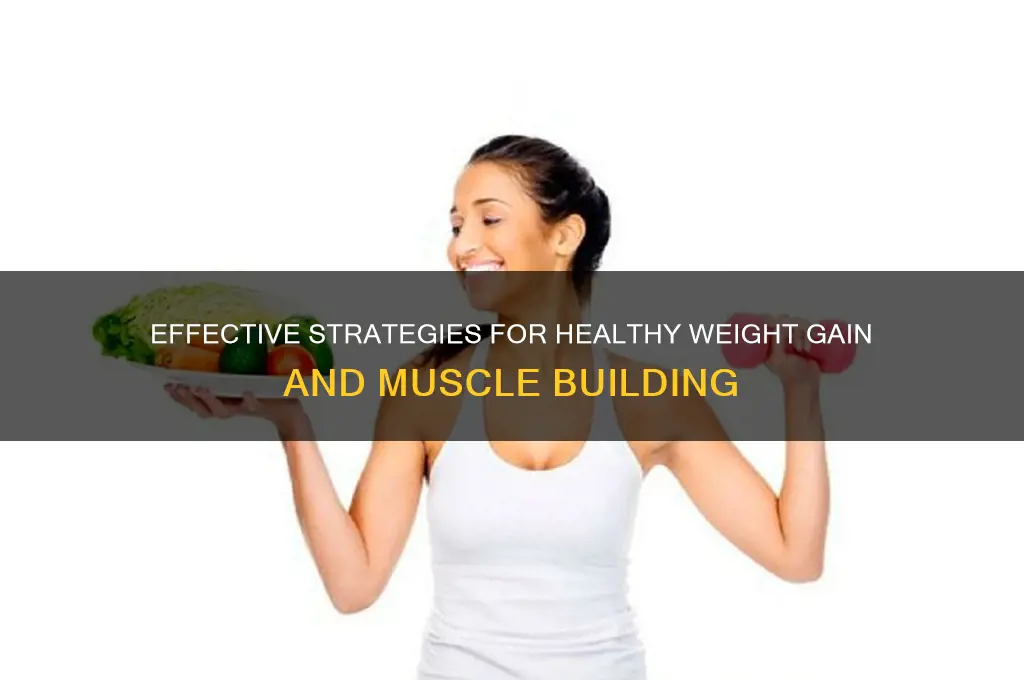 Effective Strategies For Healthy Weight Gain And Muscle Building | CyVigor