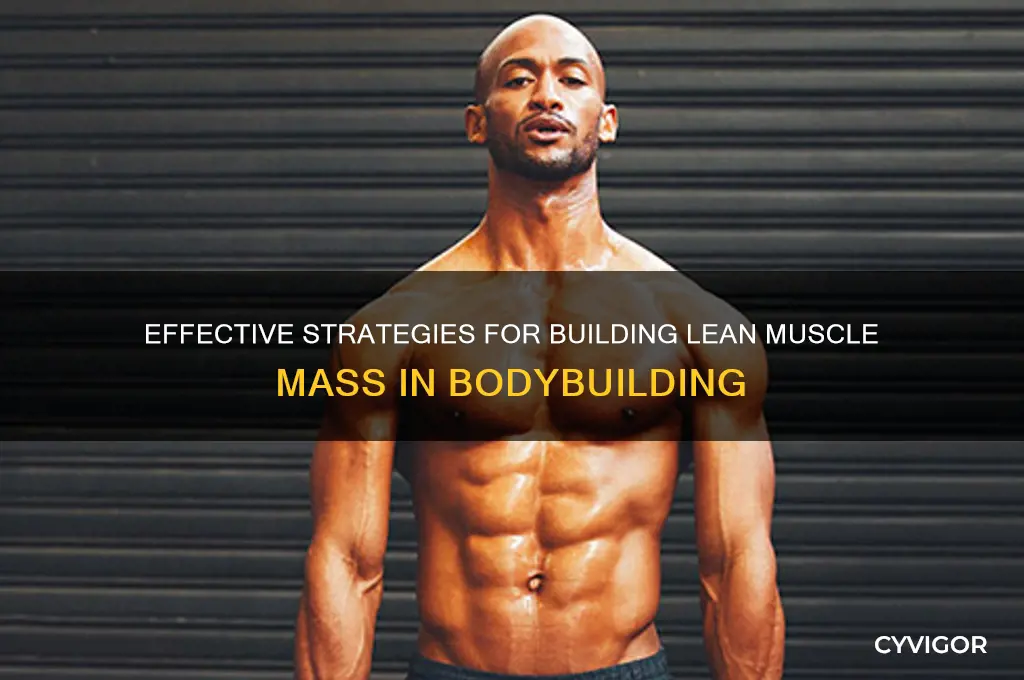 Effective Strategies For Building Lean Muscle Mass In Bodybuilding ...