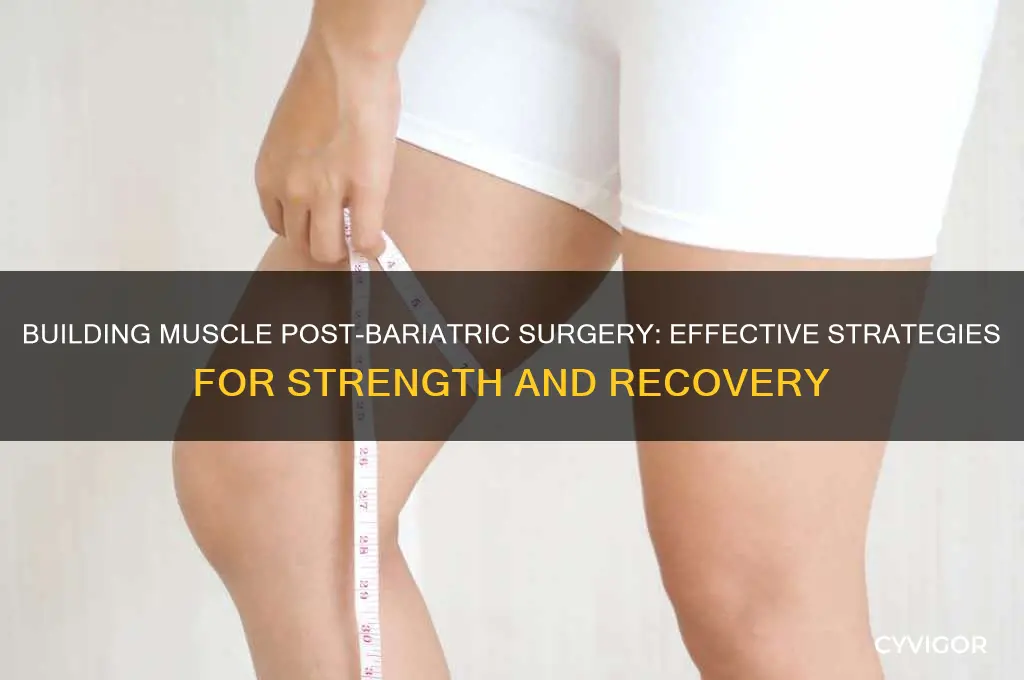 Building Muscle Post-Bariatric Surgery: Effective Strategies For ...